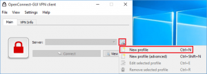 How to Set Up OpenConnect VPN on Windows | FastestVPN Support