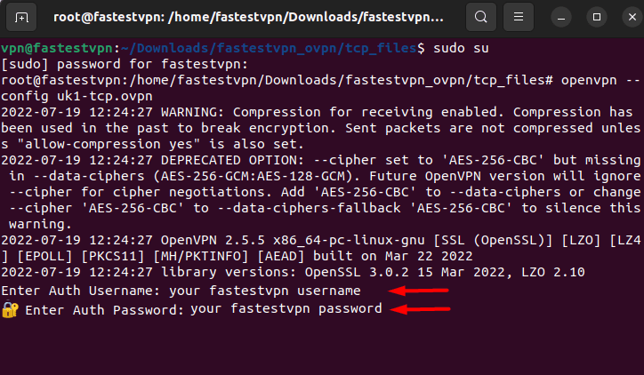How to Setup OpenVPN on Ubuntu Linux | FastestVPN Support