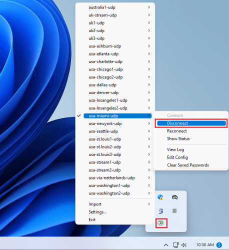 Openvpn Setup On Windows Using The Openvpn Gui Application