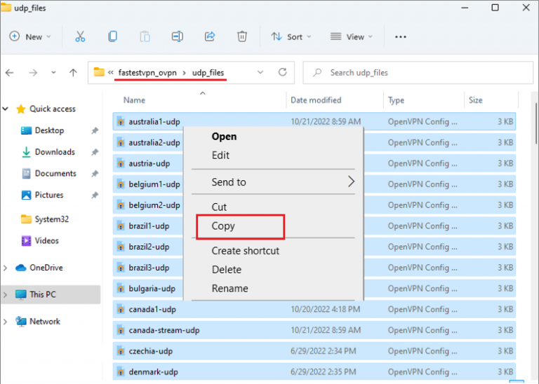 OpenVPN Setup on Windows Using the OpenVPN GUI Application
