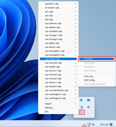 OpenVPN Setup on Windows Using the OpenVPN GUI Application