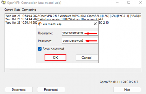 OpenVPN Setup on Windows Using the OpenVPN GUI Application